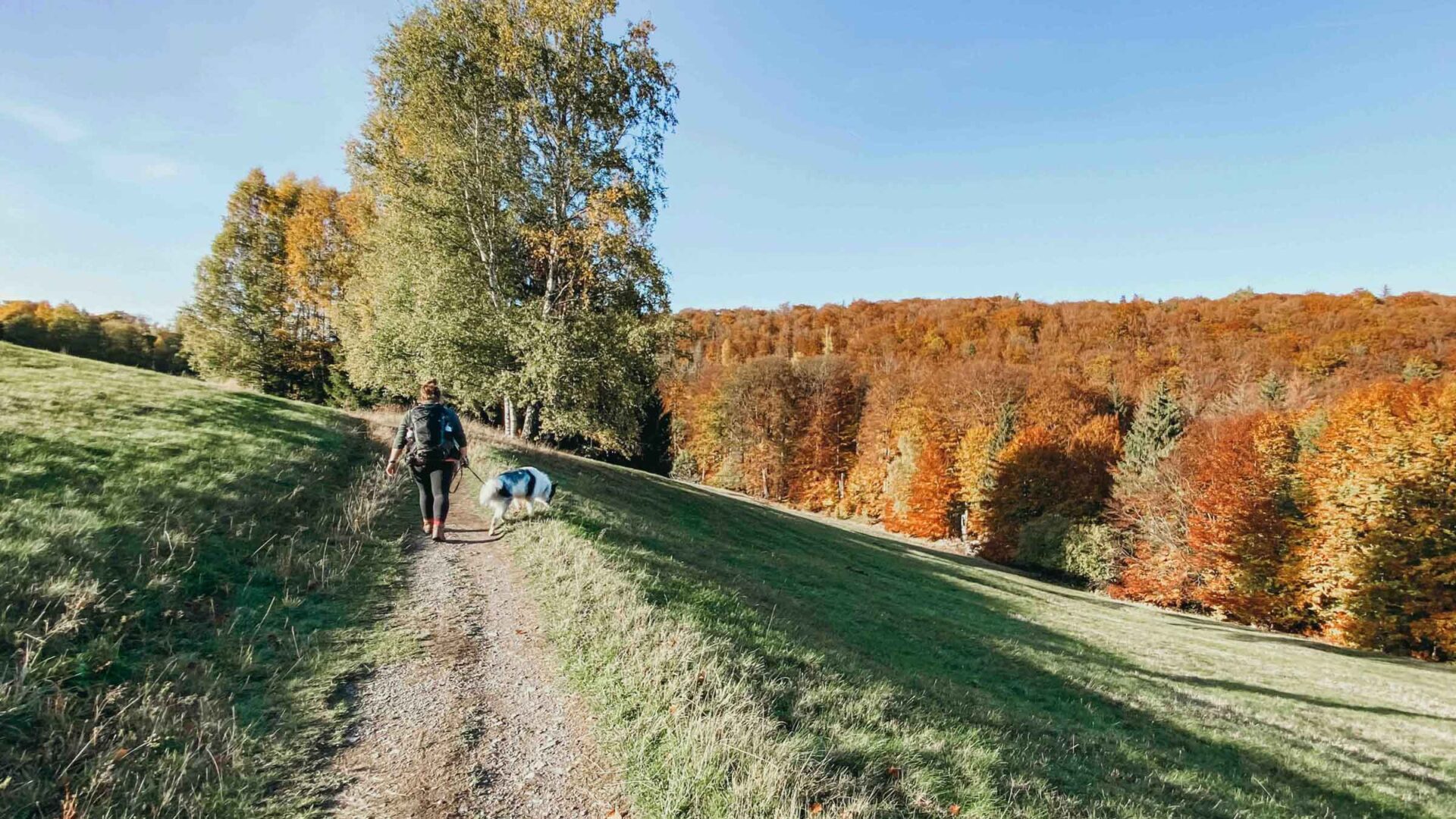 Nationaal Park Harz - 10x Bezienswaardigheden incl. kaart!